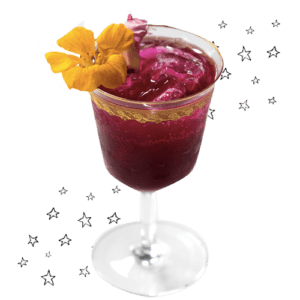 Zodiac Sign Astrological Cocktails | Snake Oil Cocktail Co.